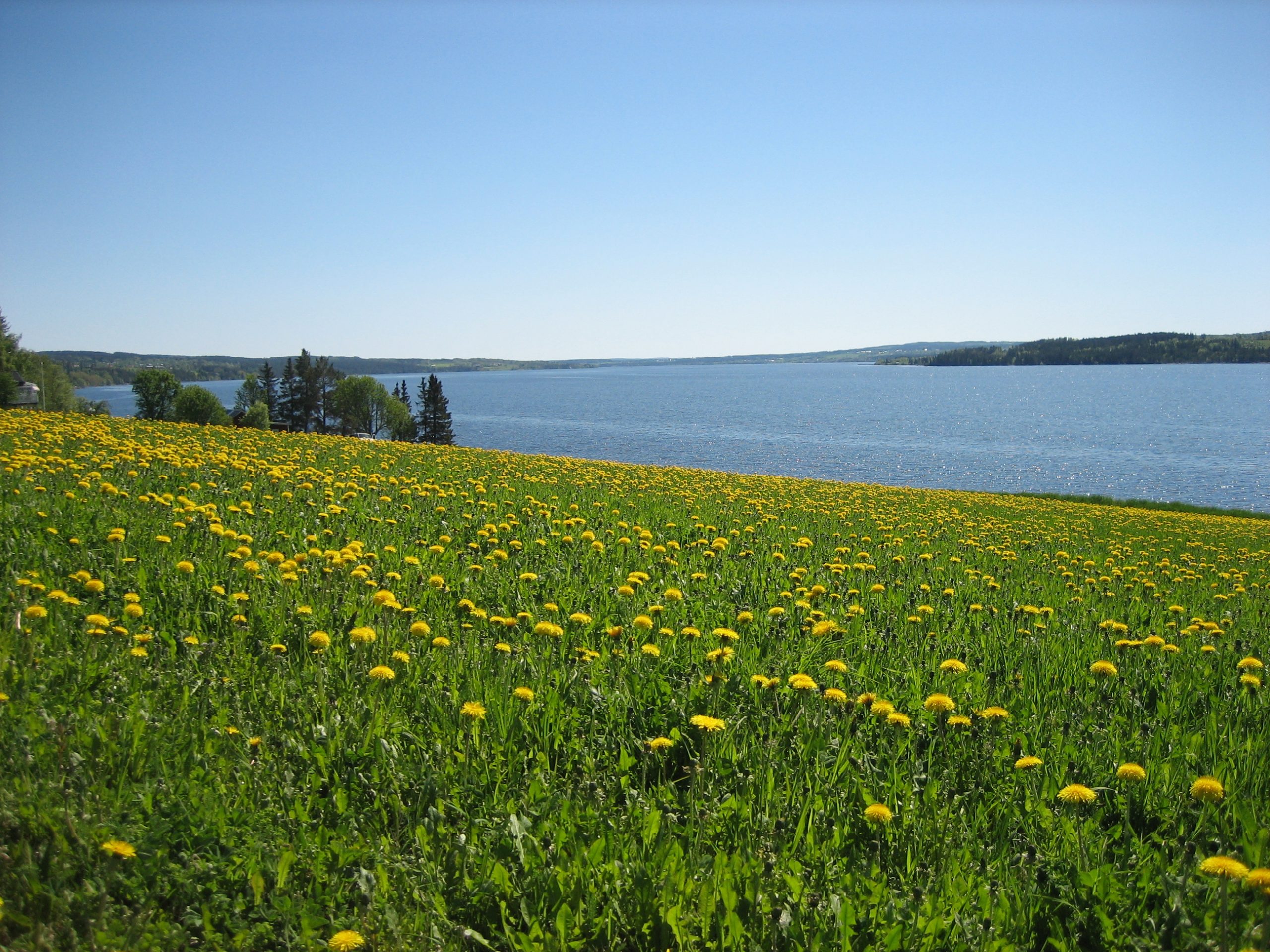 Sommartider – Bjärke Energi